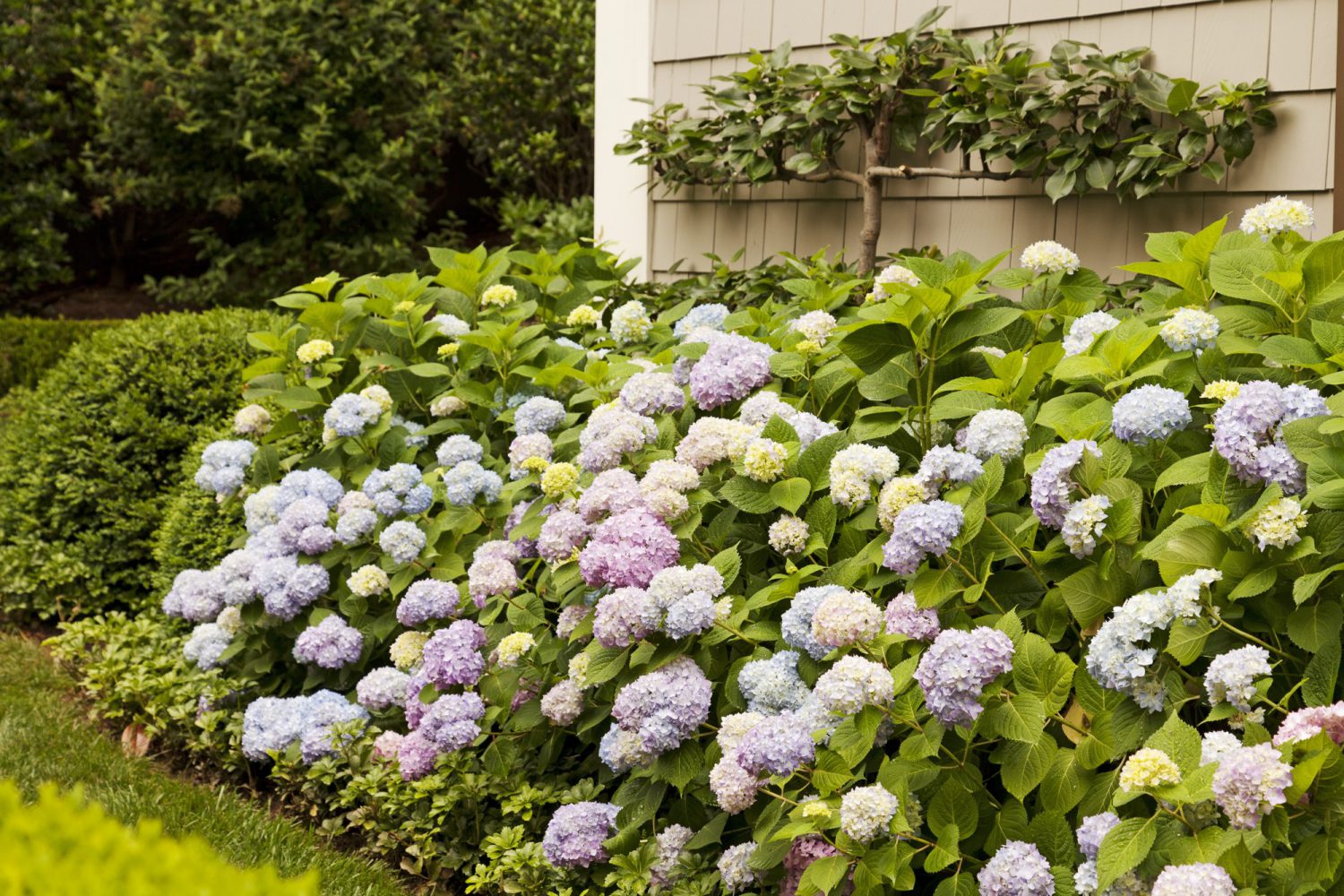 Restore & Preserve – Hamilton