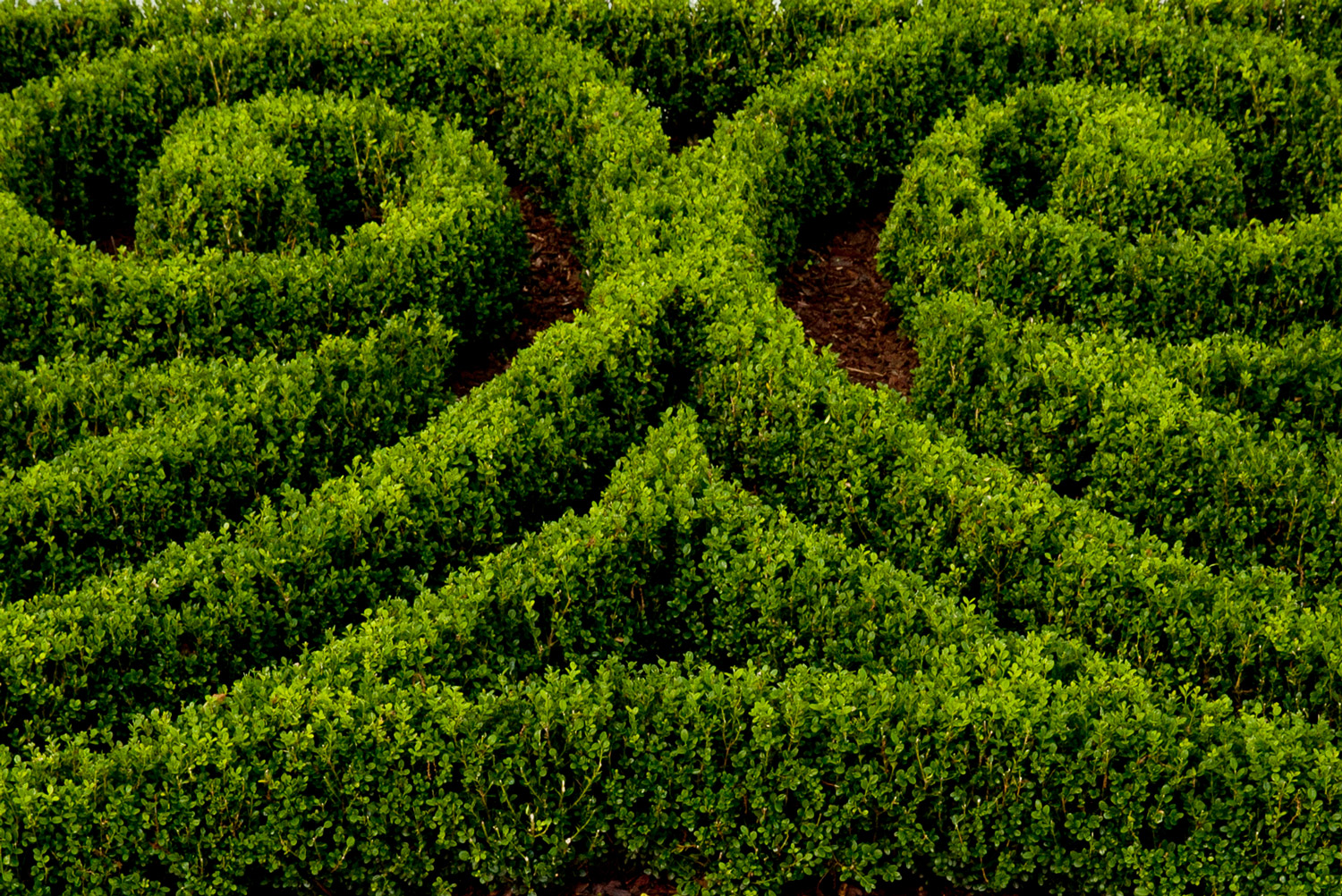 thumbnail-01 – Hamilton