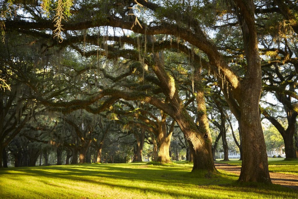 Historic Estate – Hamilton