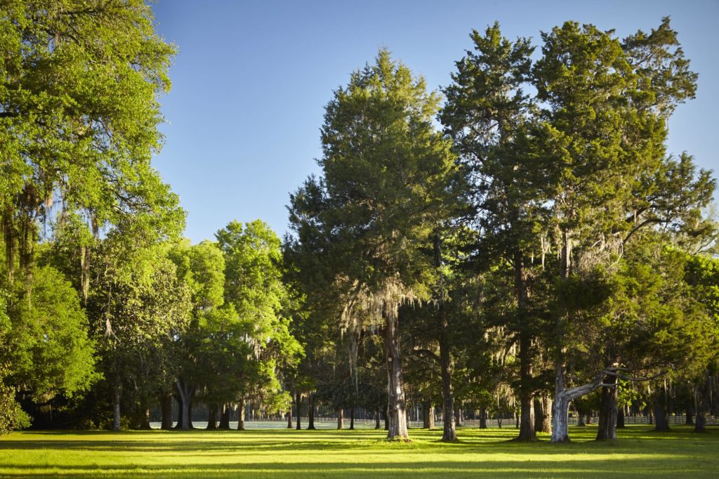 Historic Estate – Hamilton