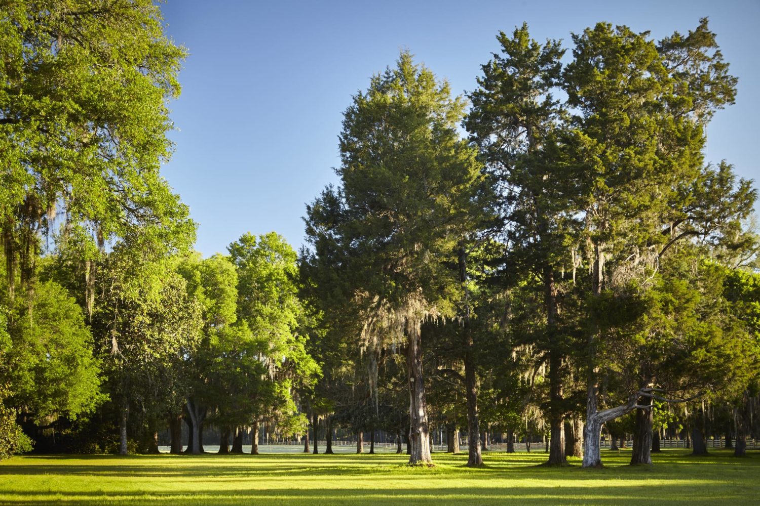 Historic Estate – Hamilton