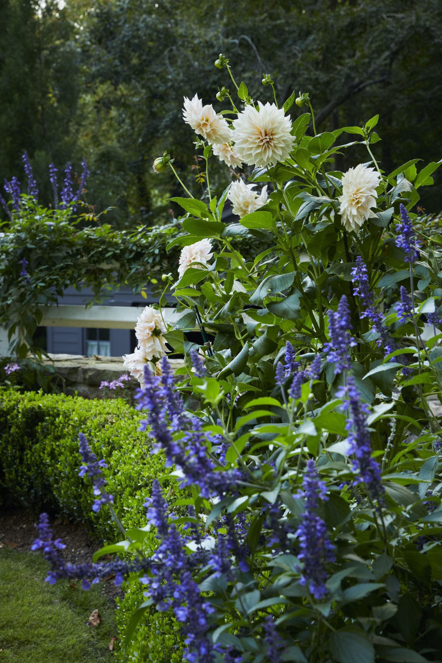 Virginia Hunt Country – Hamilton