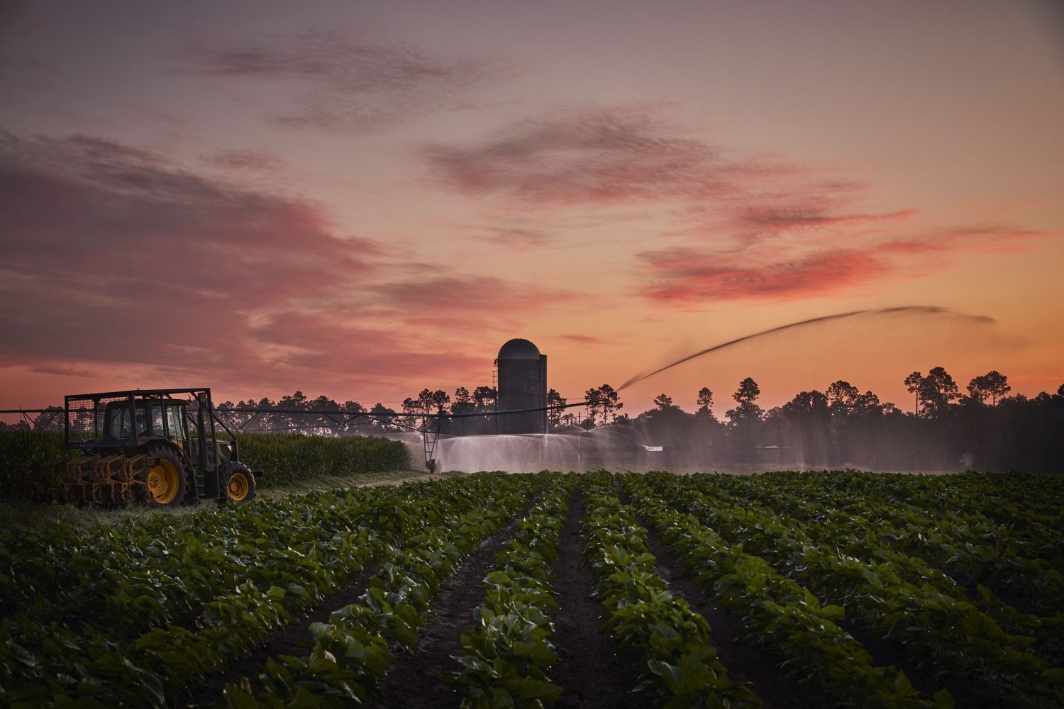 Historic Estate – Hamilton