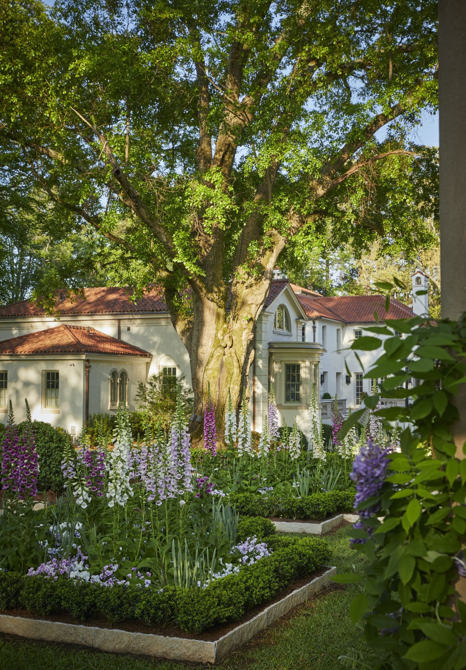 Timeless Estate – Hamilton