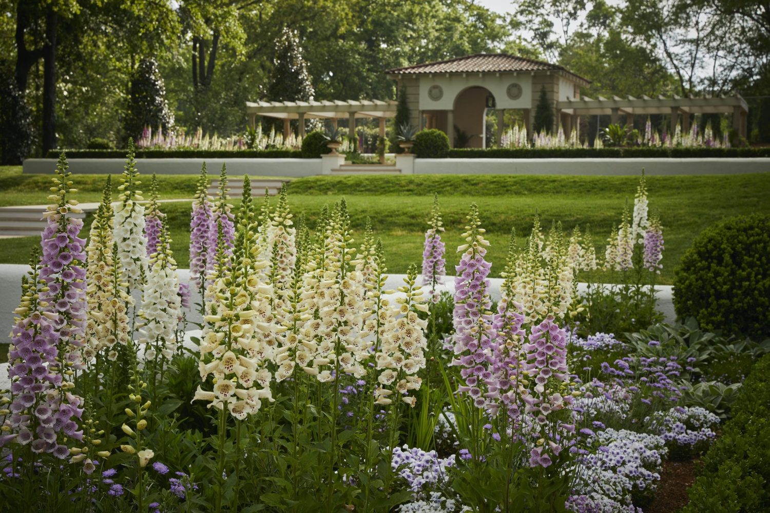 Timeless Estate – Hamilton