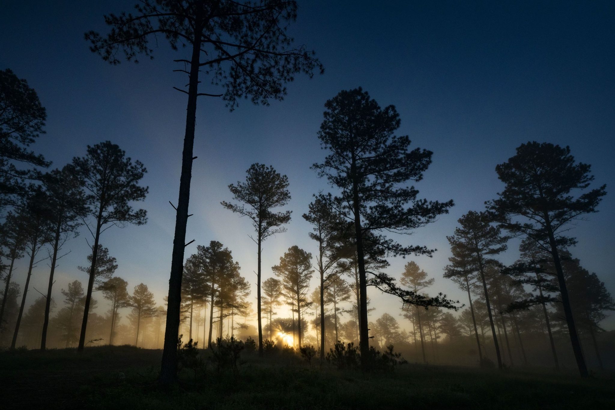 Hunt & Retreat – Hamilton