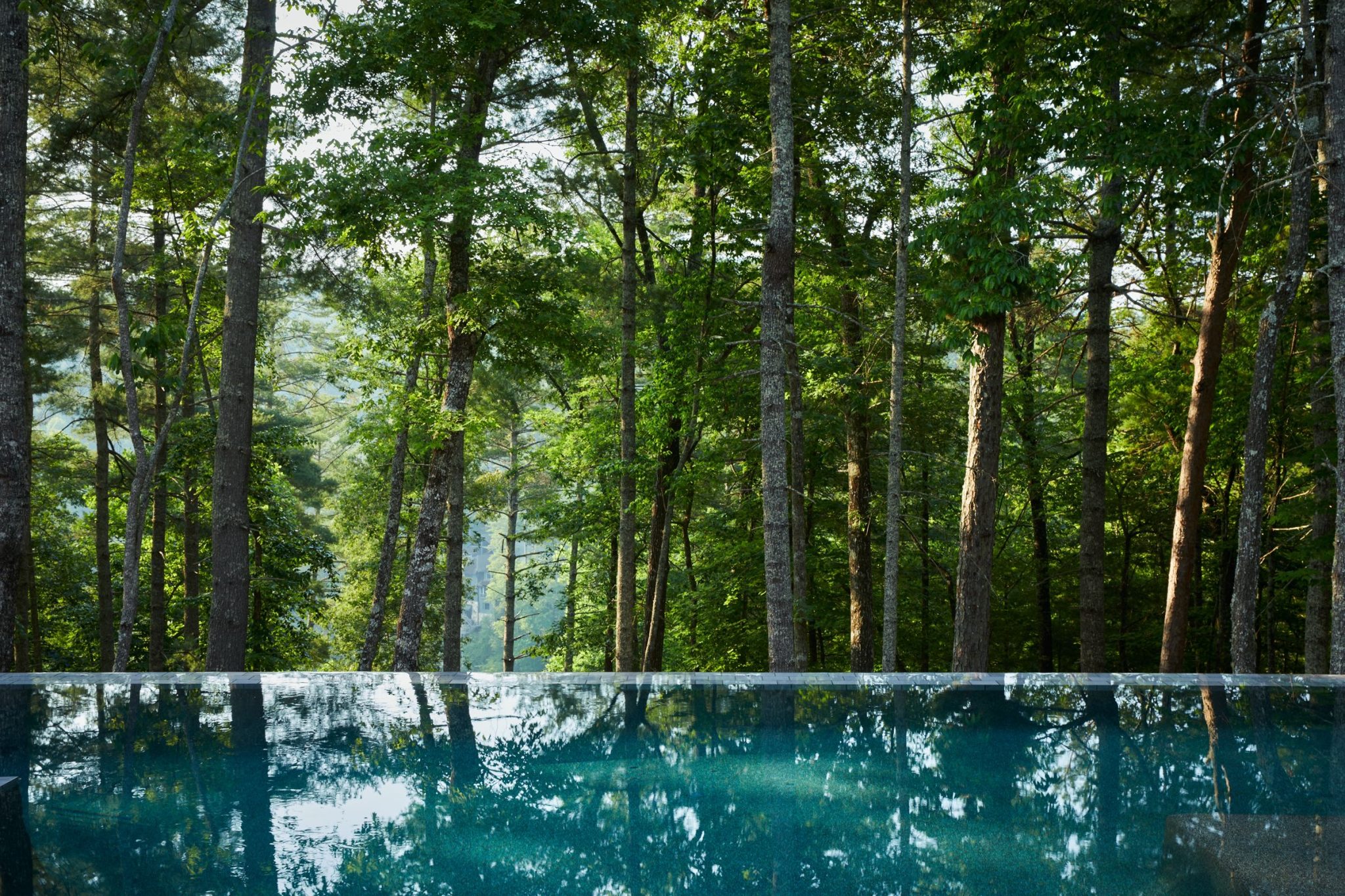 Hunt & Retreat – Hamilton