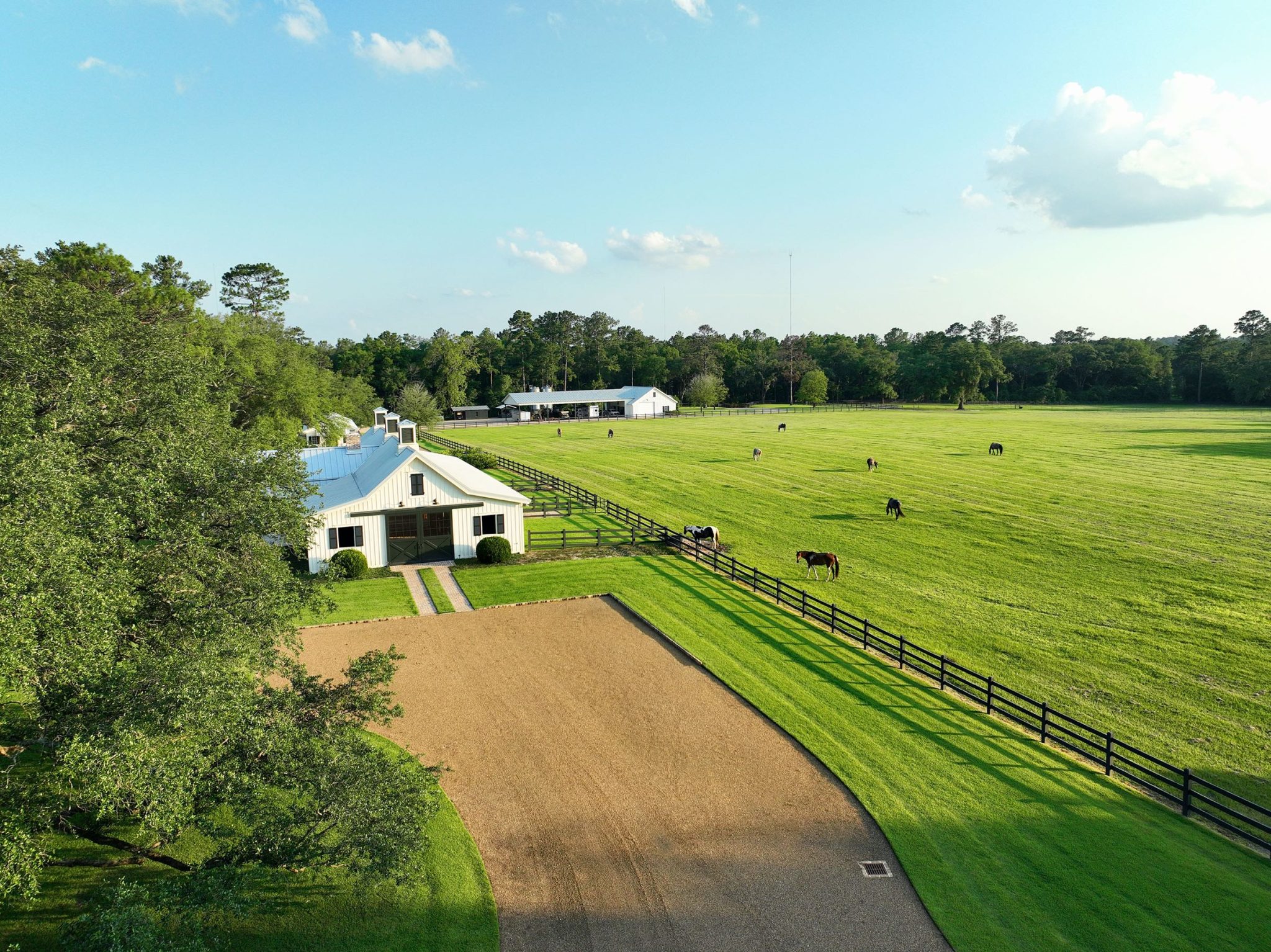 Hunt & Retreat – Hamilton