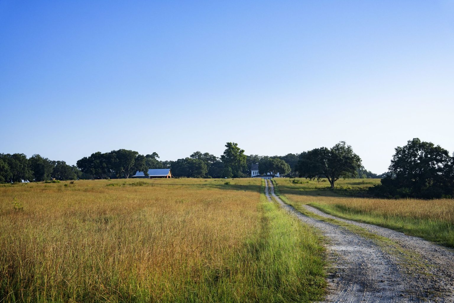 Southern Splendor – Hamilton