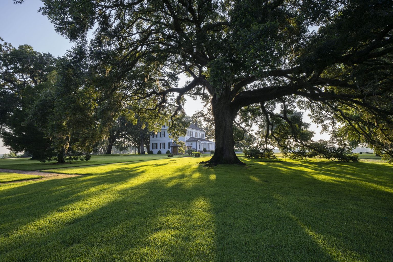 Southern Splendor – Hamilton