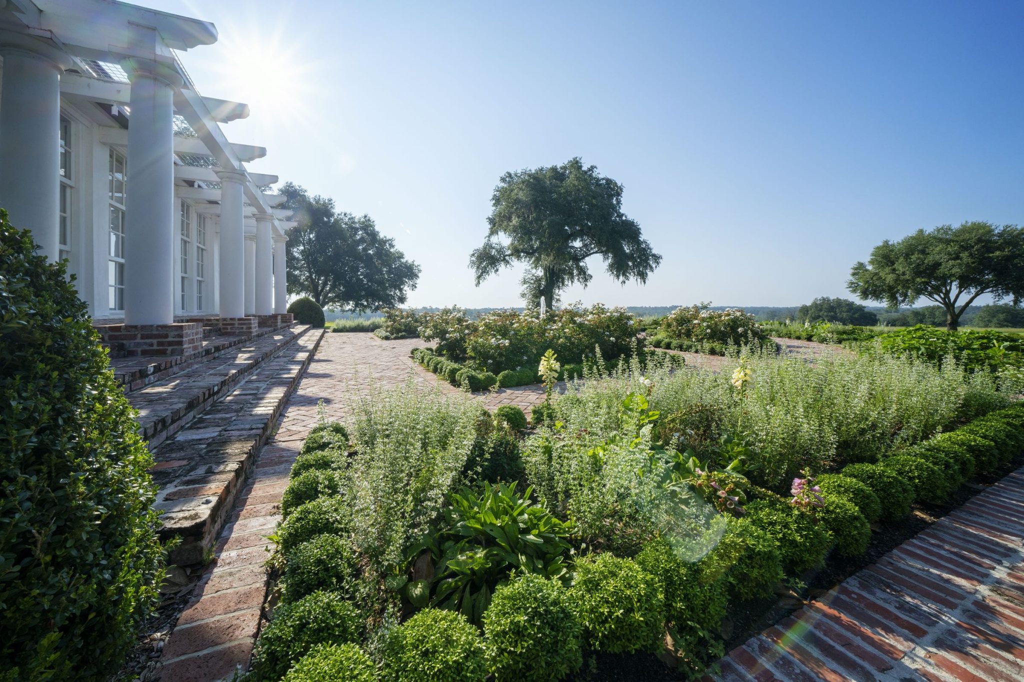 Southern Splendor – Hamilton